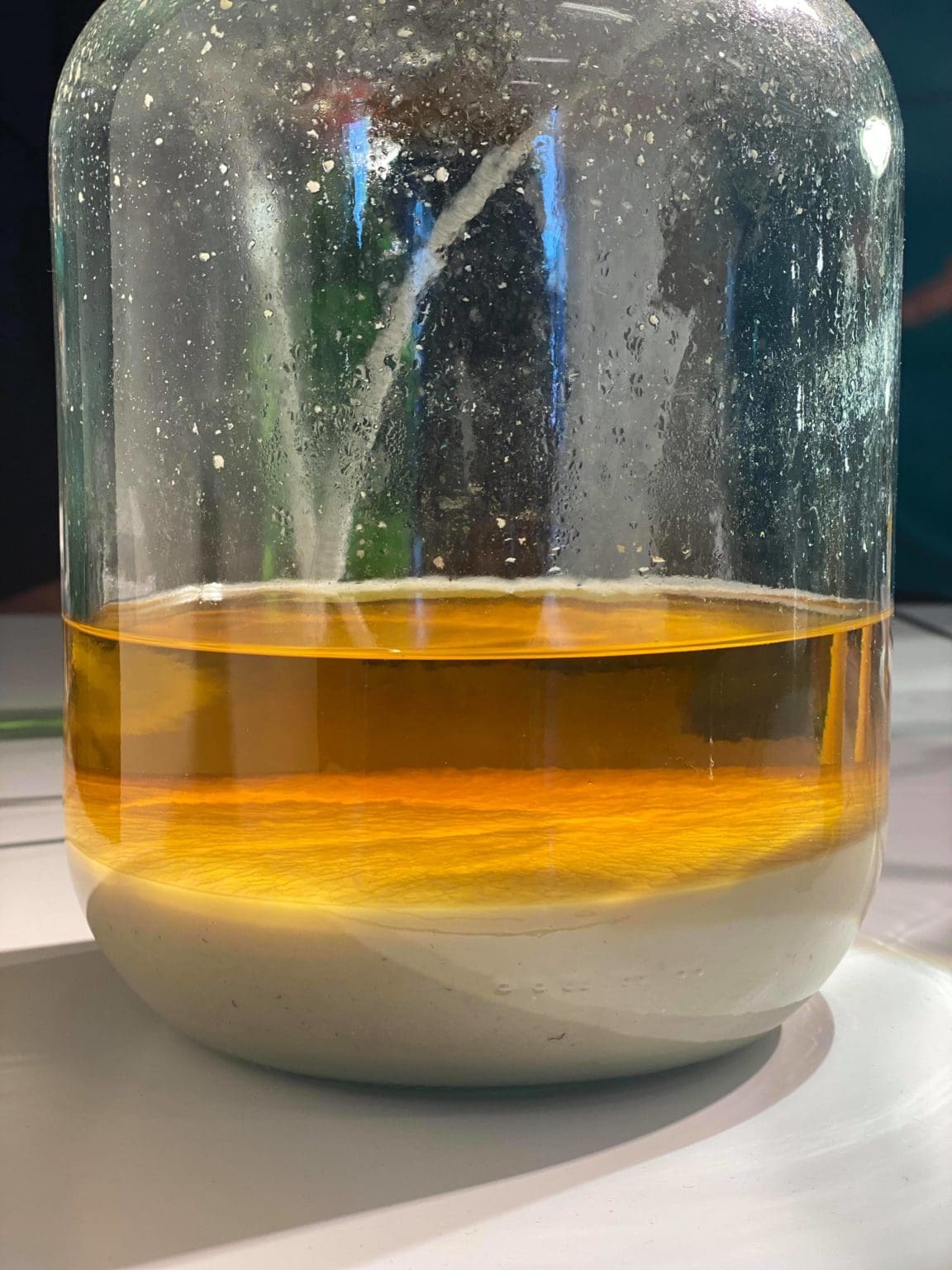 Most disgusting foods – Disgusting Food Museum